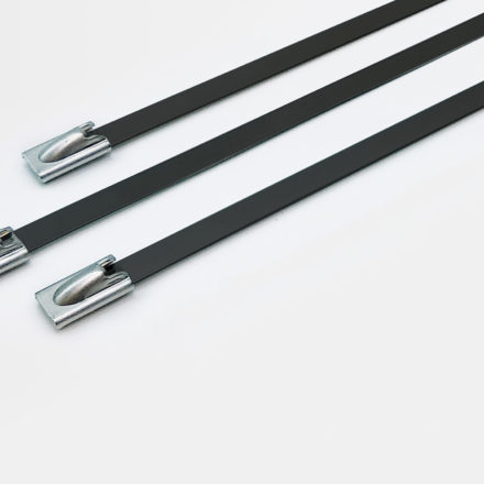 Catálogo - Solomnia